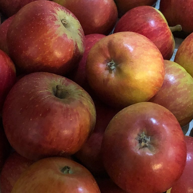 Cox Apples - Perryhill Orchards